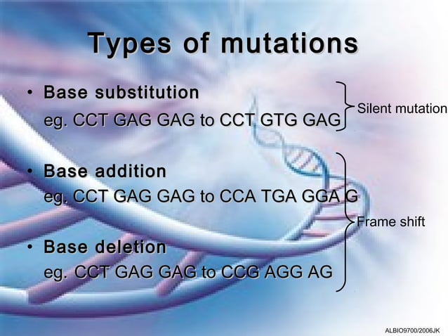 04 Phenotype Change Mutation and Environment | PPT