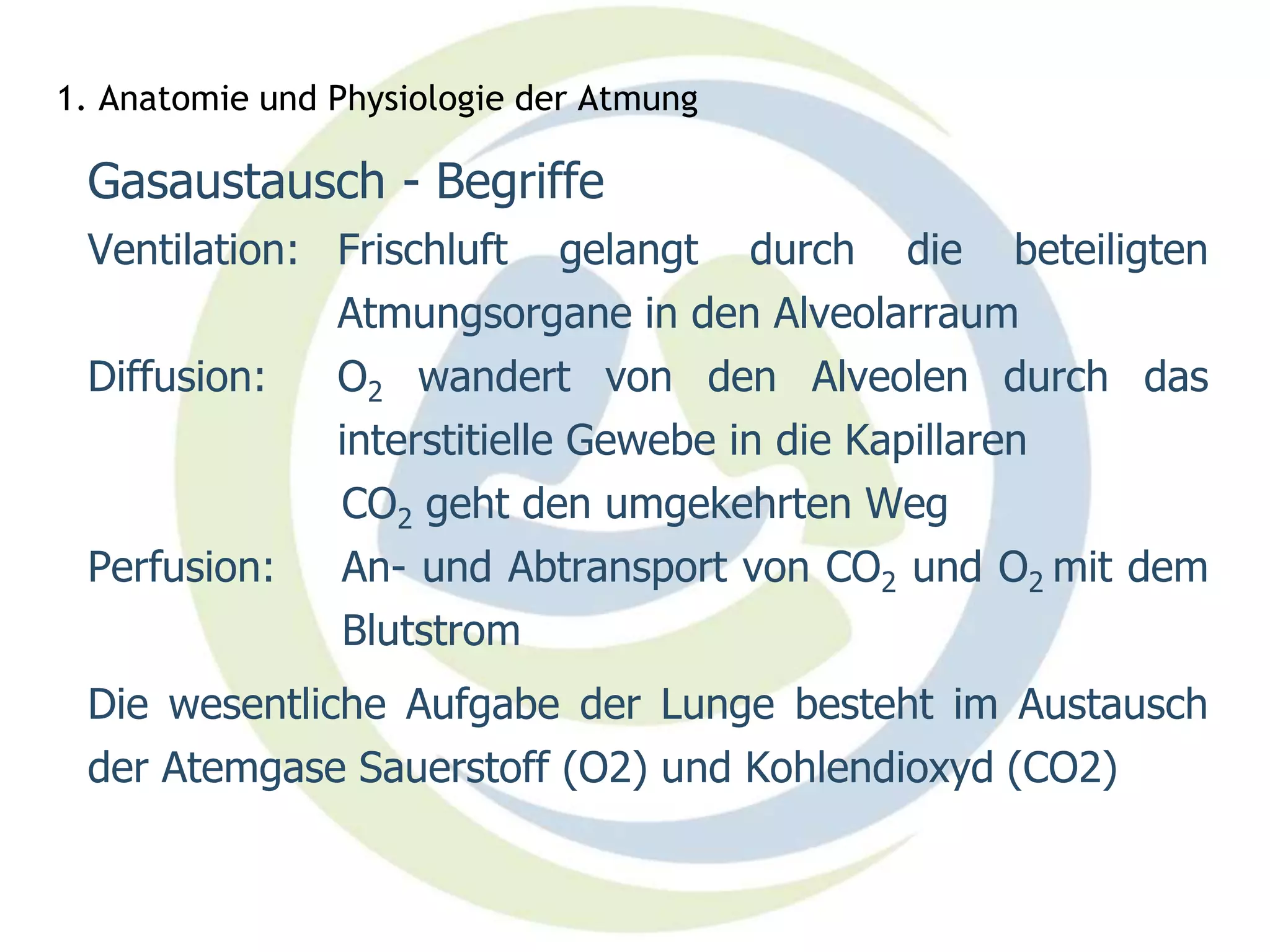 04 Physiologie der Atmung