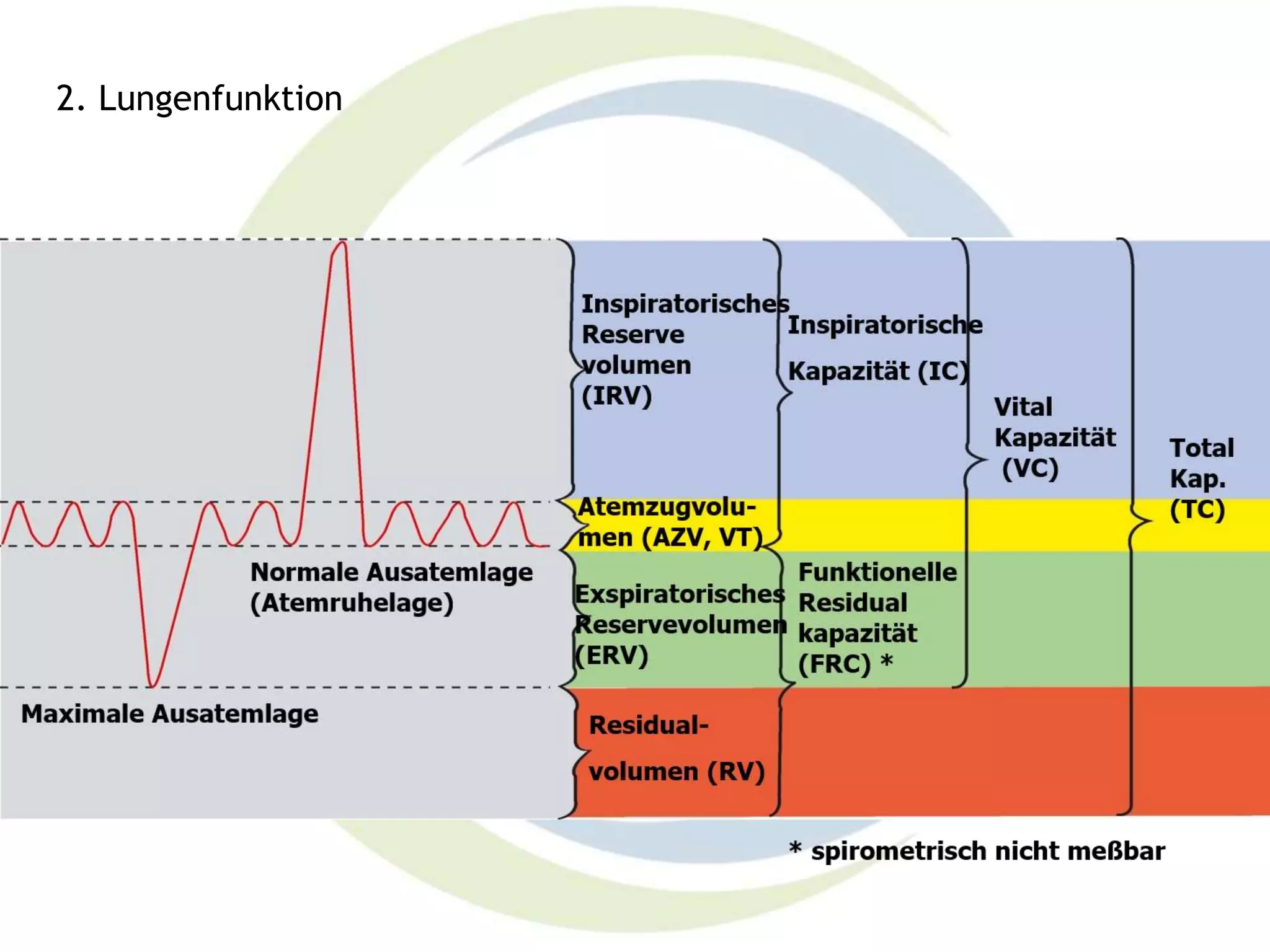 04 Physiologie der Atmung
