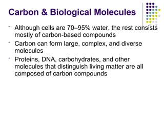 Carbon and the Molecular Diversity of Life | PPT