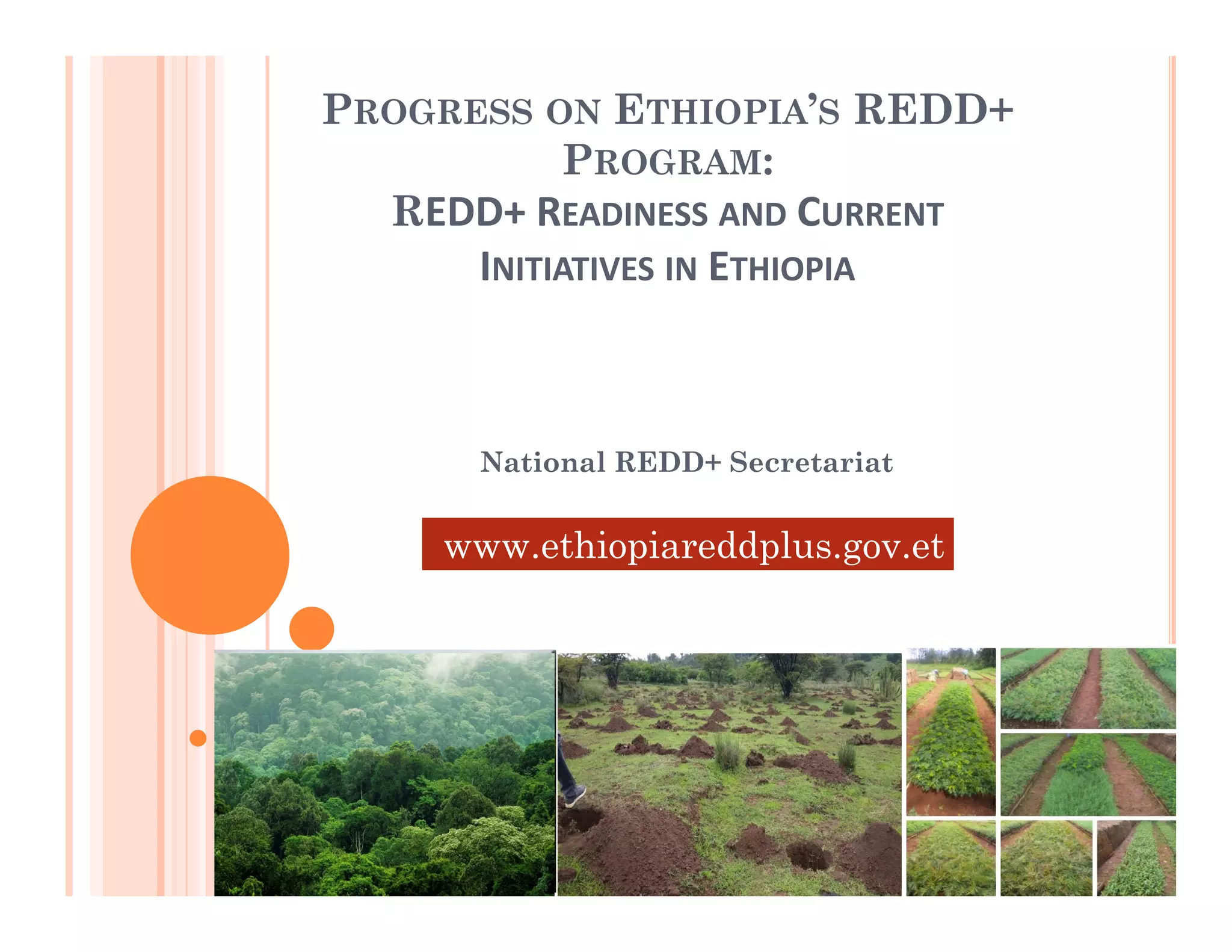 Progress on Ethiopia’s REDD+ Program: REDD+ Readiness and Current ...