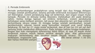 04Psikologi perkembangan ppt.pptx