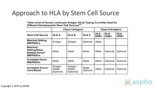 04_Pulsipher_Stem_Cell_Transplantation.pptx