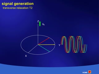 04 relajacion transversal | PPT