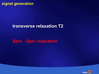 04 relajacion transversal | PPT