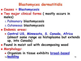 04 respiratory infection2 | PPT