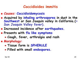 04 respiratory infection2 | PPT