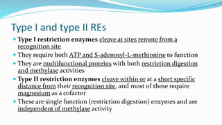 04 Restriction Digestion_JO department of micro.ppt