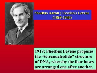 A Short History of DNA | PPT