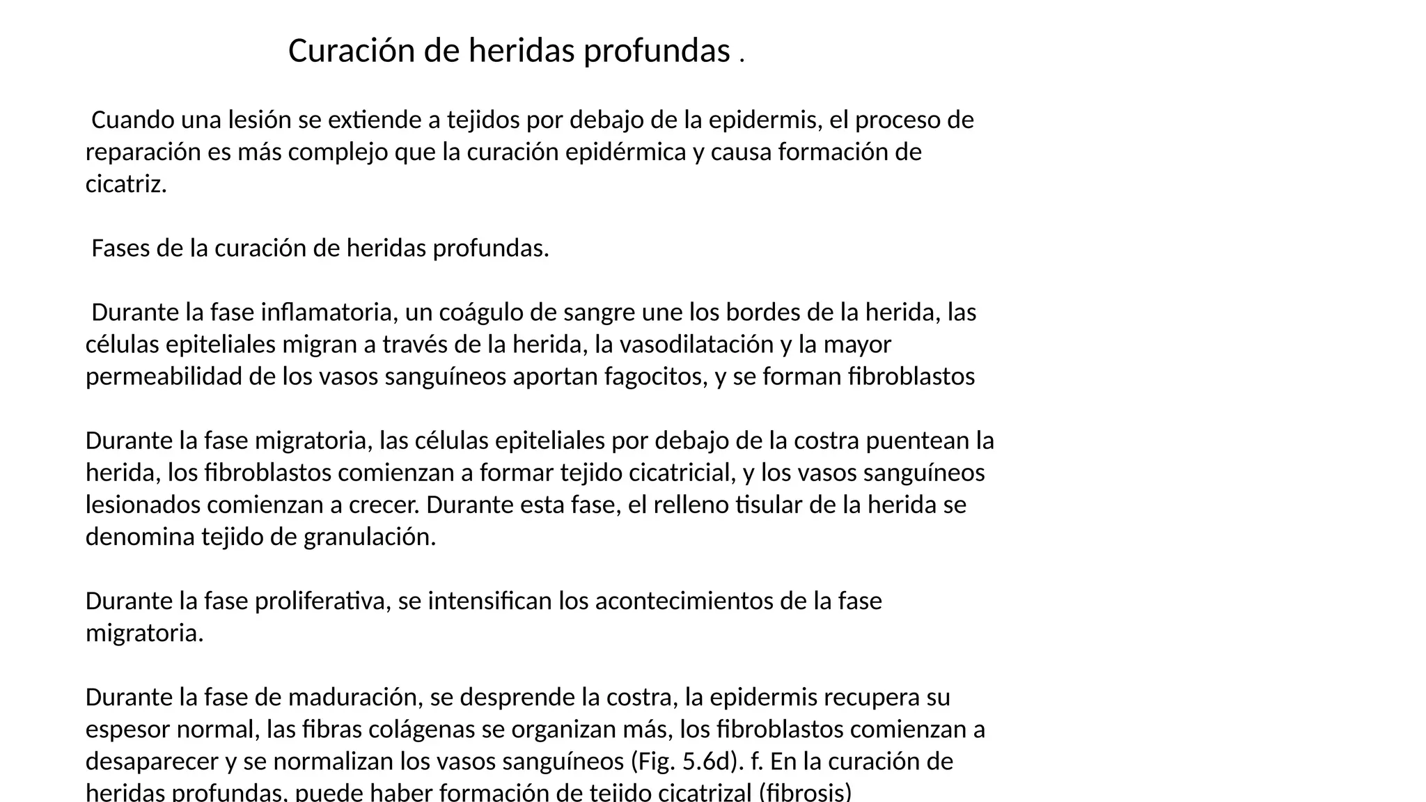 04 SISTEMA TEGUMENTARIO ANATOMOFISIOLOGÍA-2.pptx