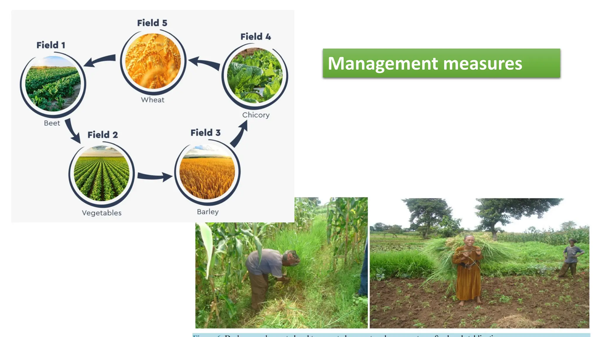 Sustainable Land Management - Climate Smart Agriculture | PDF