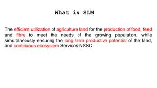 Sustainable Land Management - Climate Smart Agriculture | PDF