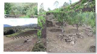 Sustainable Land Management - Climate Smart Agriculture | PDF