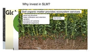 Sustainable Land Management - Climate Smart Agriculture | PDF