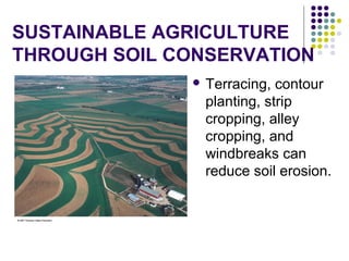 04 soil erosion and degradation | PPT