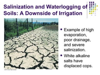 04 soil erosion and degradation | PPT
