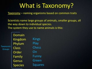 Taxonomy Presentation | PPT