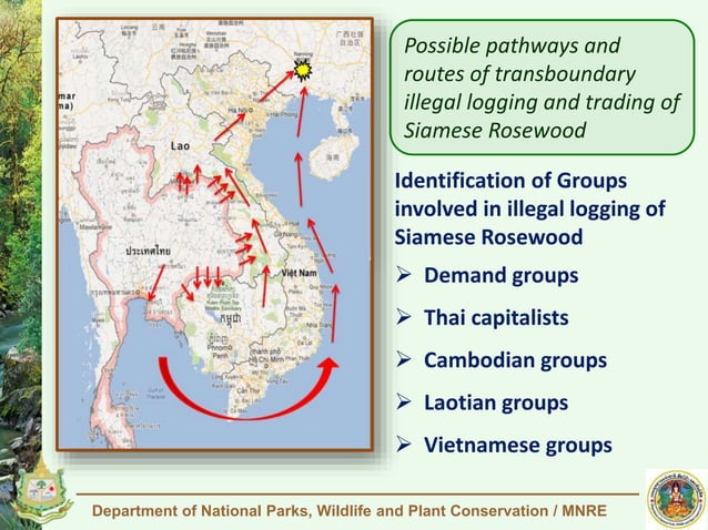 04 Thailand country report presentation | PPT