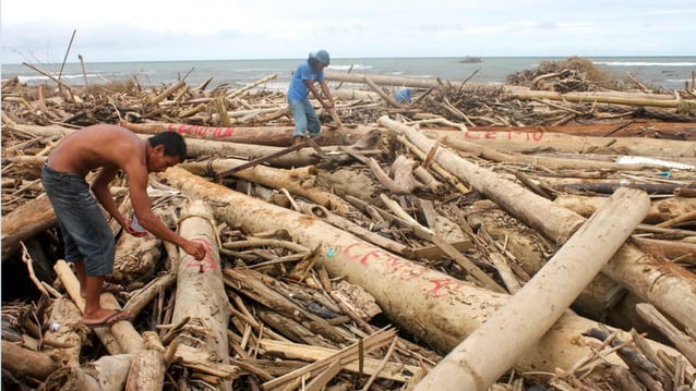 The Human Person in Their Environment | PDF