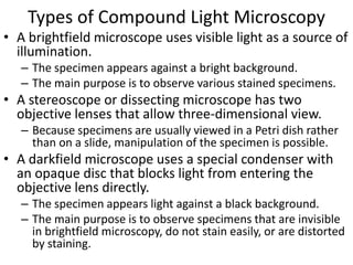 04 the microscope | PPTX