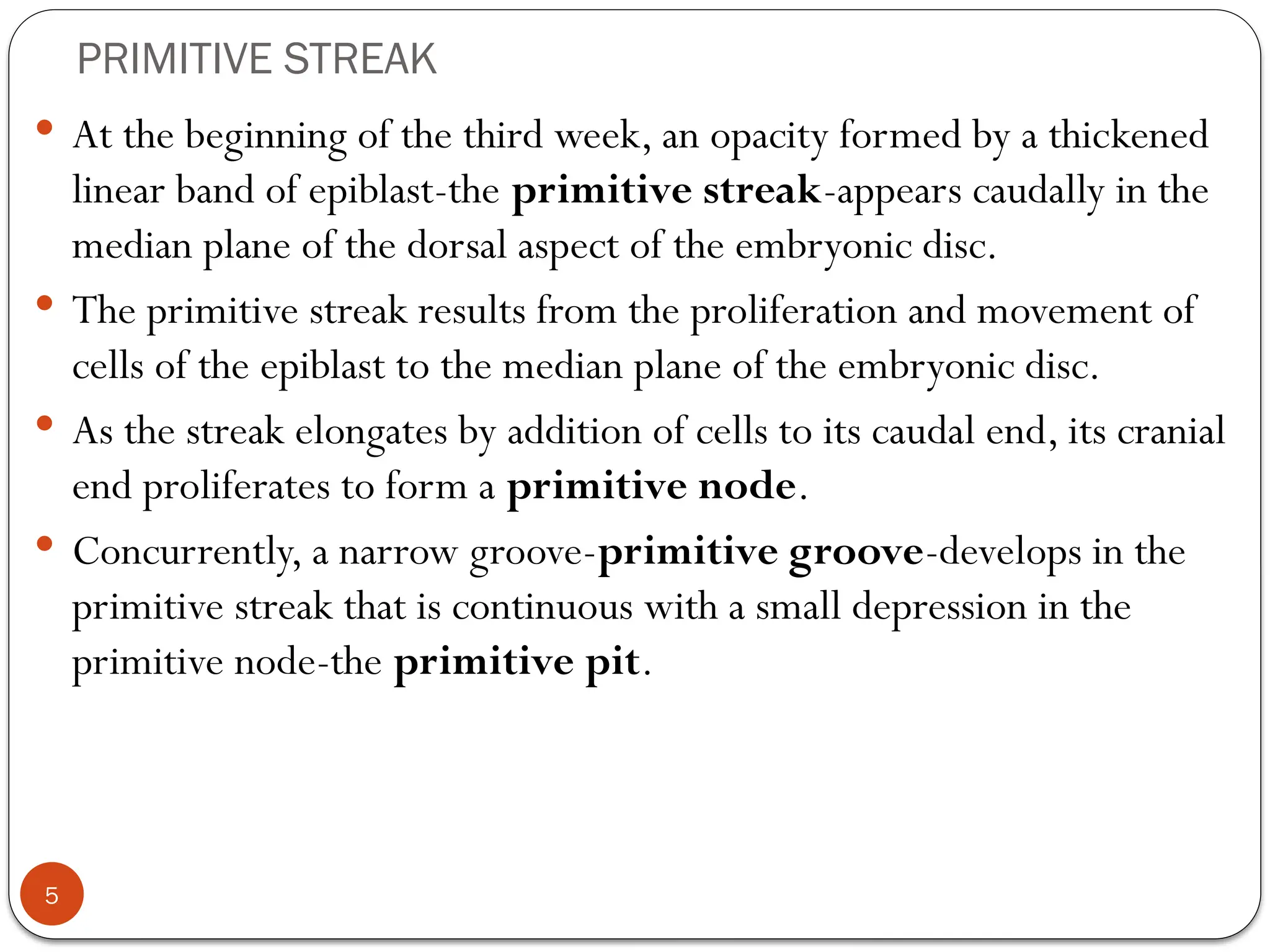 04 Third Week of Development.pptx embryology | PPTX