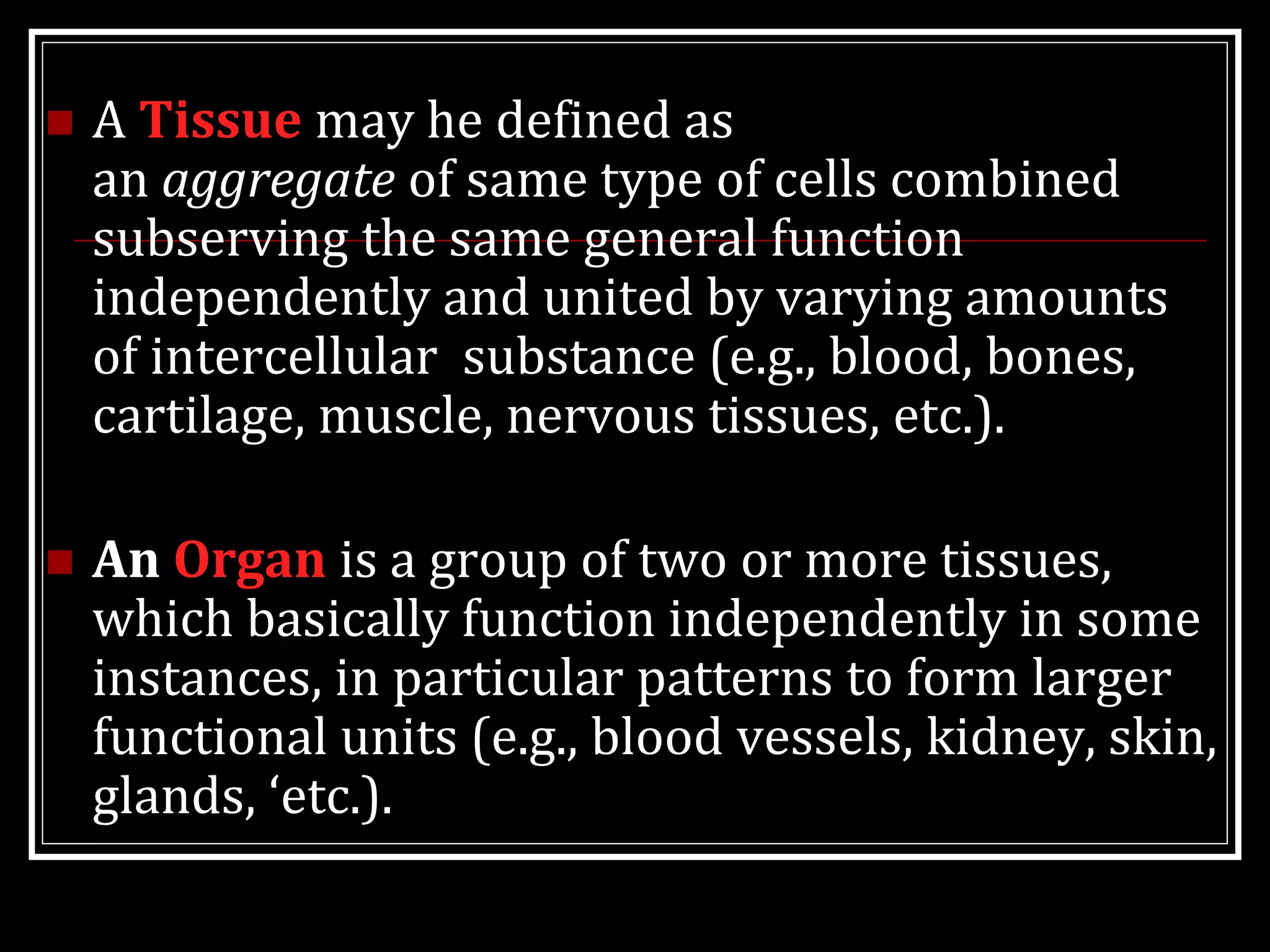 TISSUE-GLANDS | PPTX