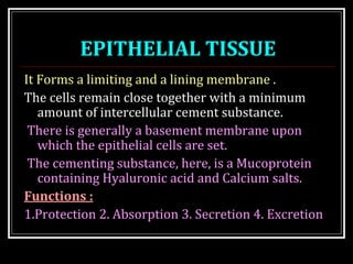 TISSUE-GLANDS | PPTX