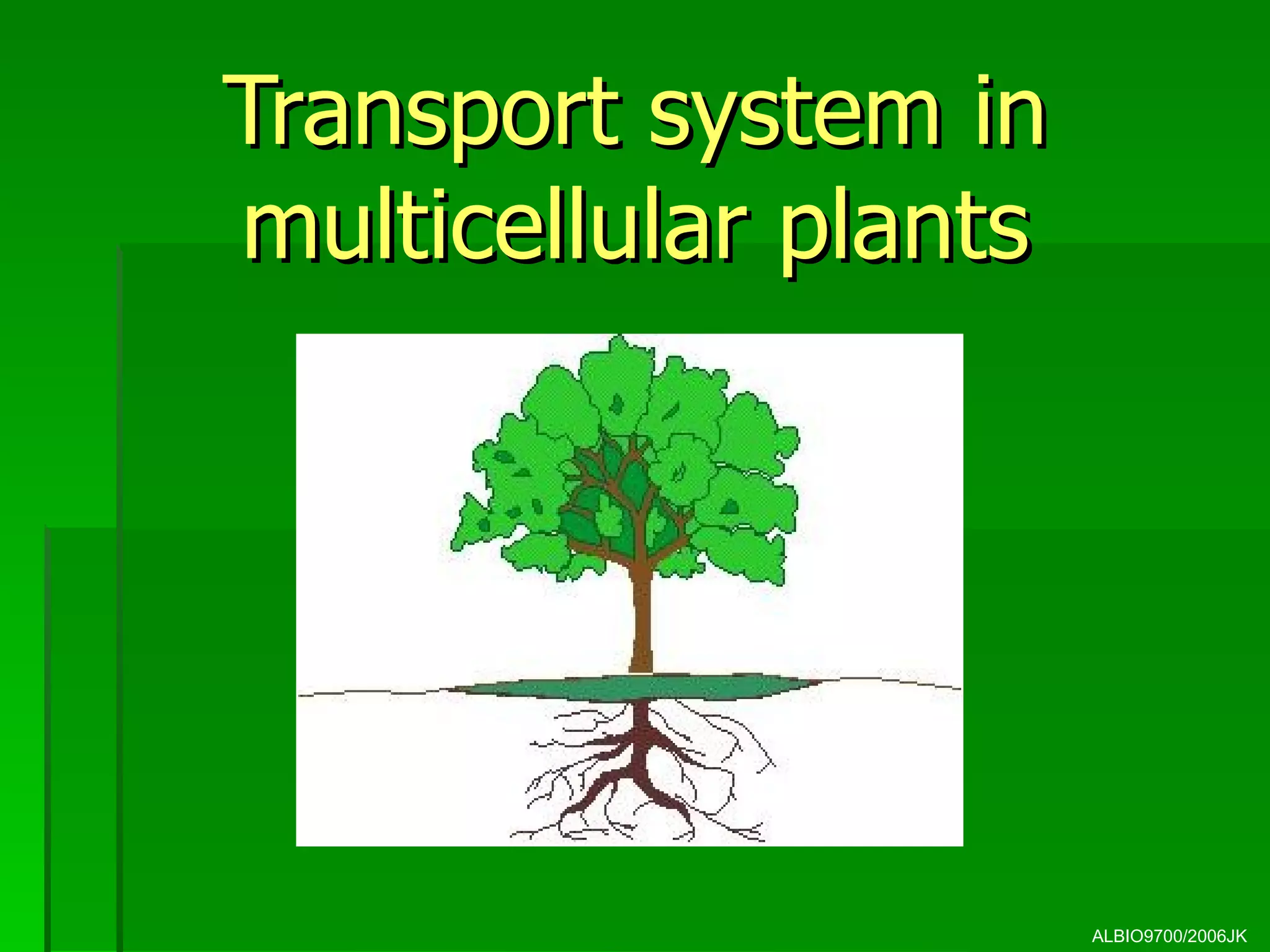 04 Transport System in Multicellular Plants | PPT