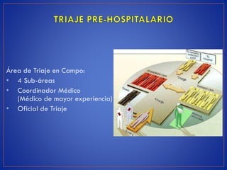 04 Triage PH (1).pdf