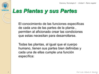 04 unidad i tema 2 - partes de la planta | PPSX