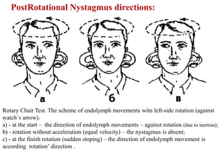 04 Vestibulary system English 081020.pdf