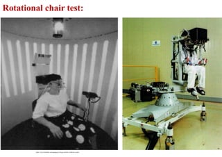04 Vestibulary system English 081020.pdf