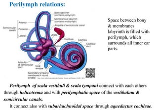 04 Vestibulary system English 081020.pdf
