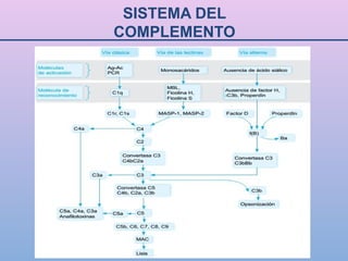 Comprehensive Overview of the Complement System in Immunology | PPTX