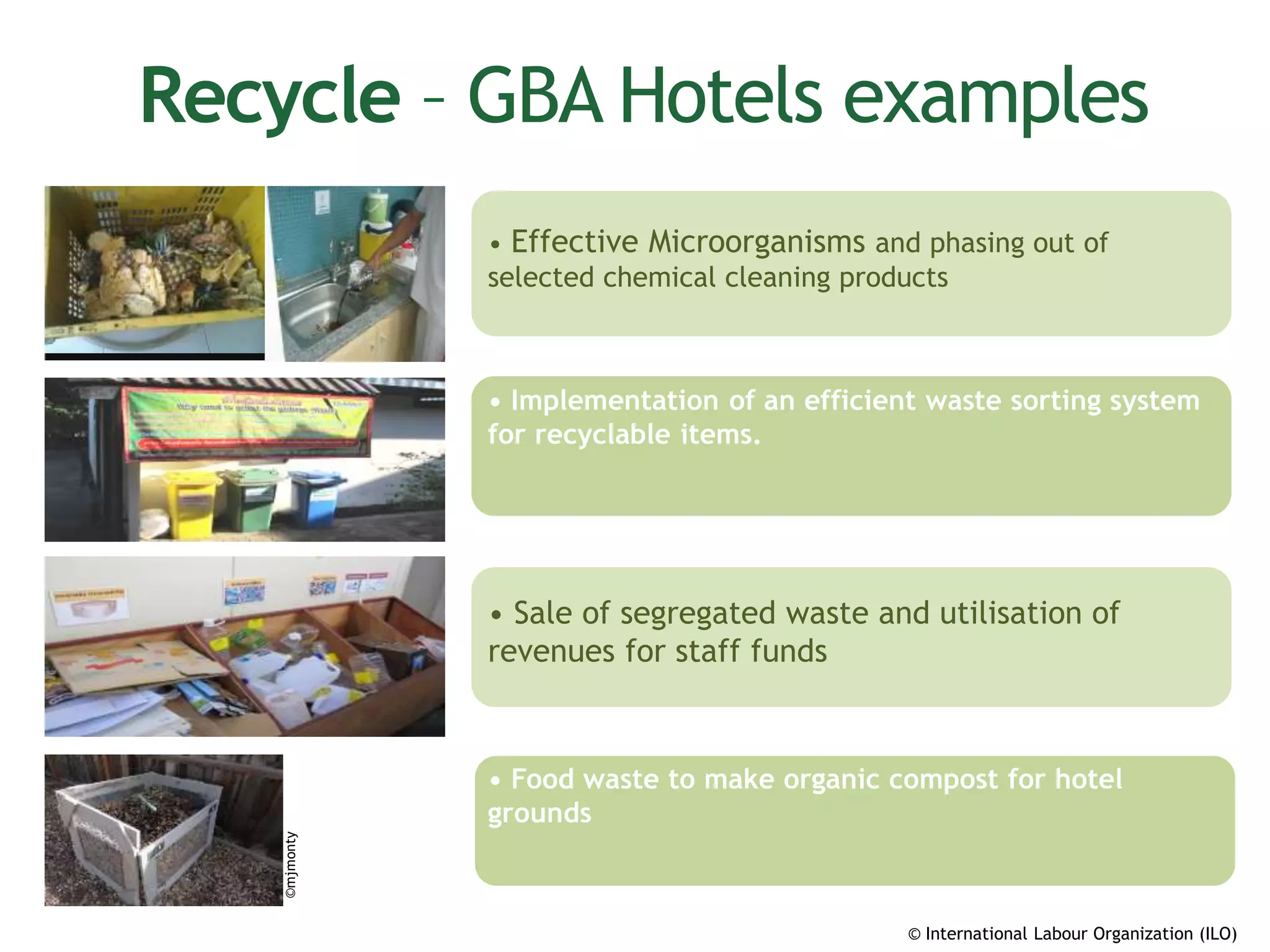 Waste Management | PPT