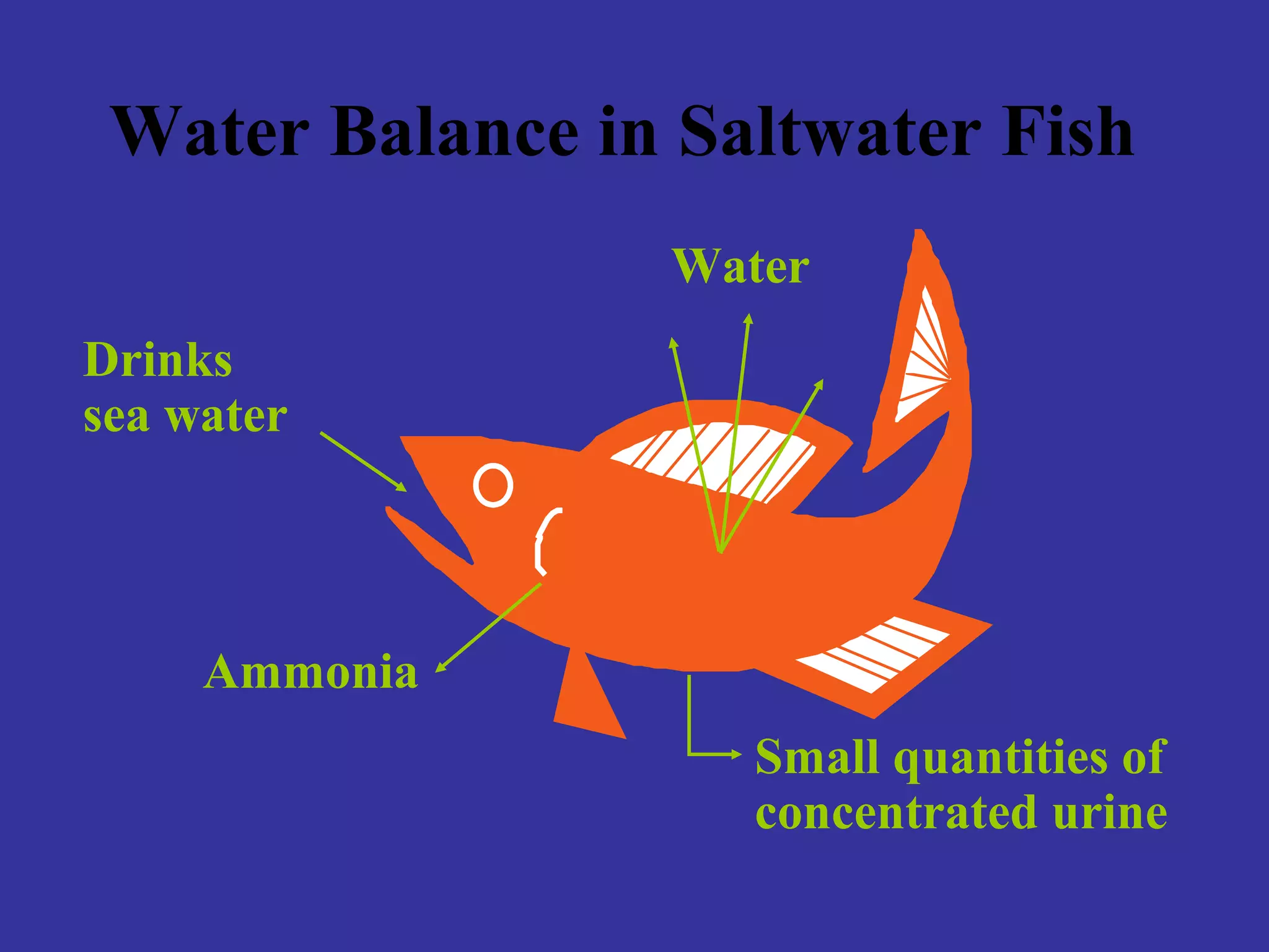 04 water quality and management | PPT