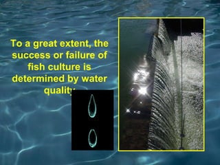 04 water quality and management | PPT