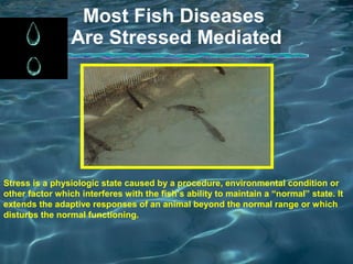 04 water quality and management | PPT