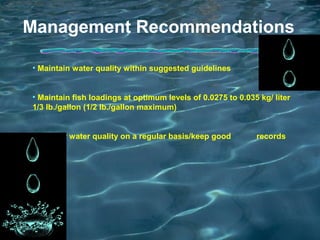 04 water quality and management | PPT