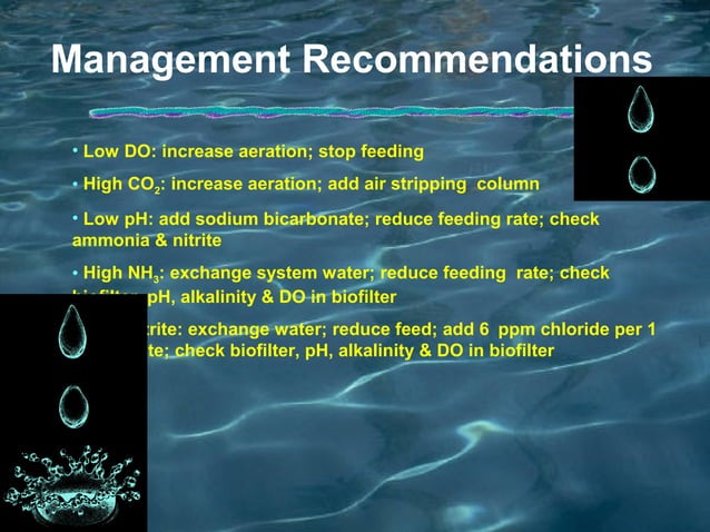 04 water quality and management | PPT