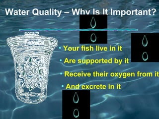 04 water quality and management | PPT