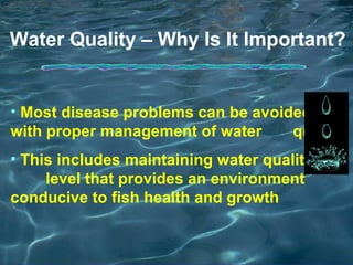 04 water quality and management | PPT