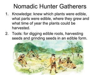 04 what plants need | PPT