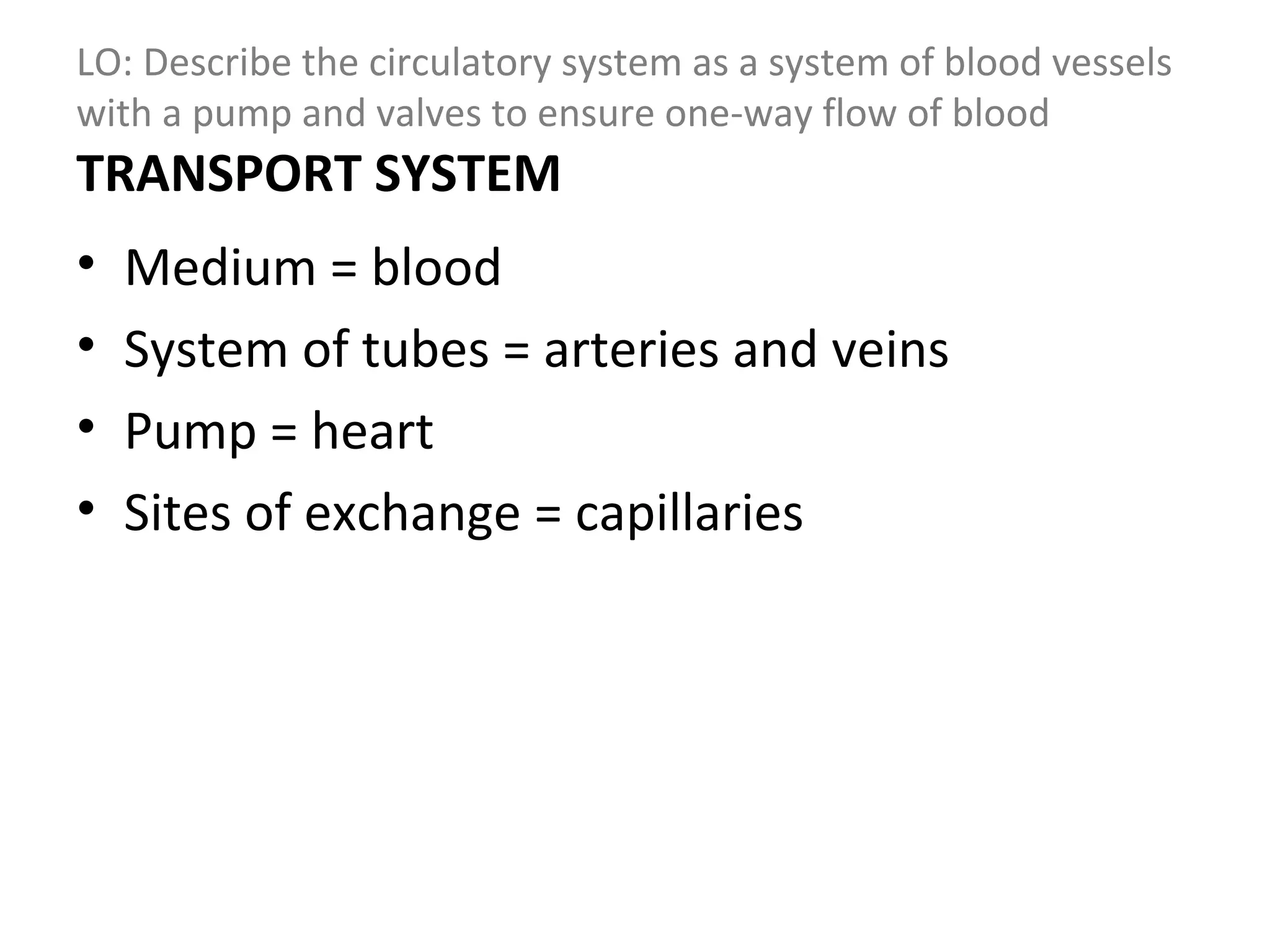 Transport systems in animals | PPT