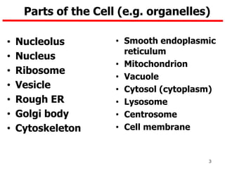 04Zool Chap06 TheCell.pptx