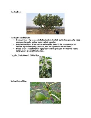 05-05-19, Mark 11;11-21, Purifies, Jesus Curses the Fig Tree and ...