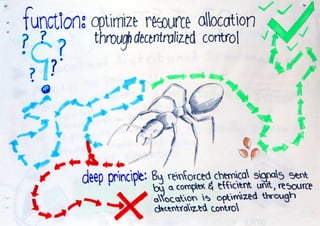 # 5 optimize resource allocation through decentralized control | PDF
