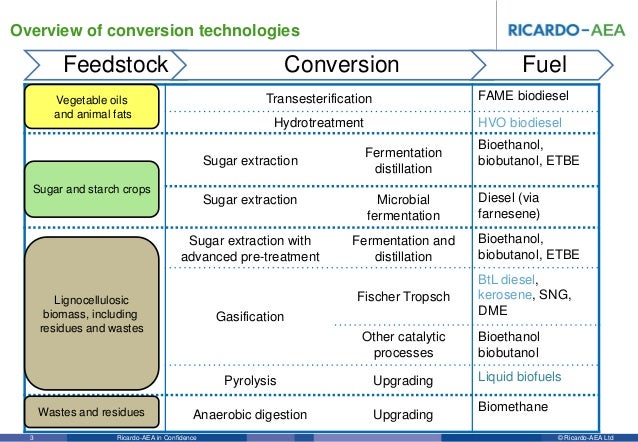 Advanced biofuel feedstocks and conversion technologies