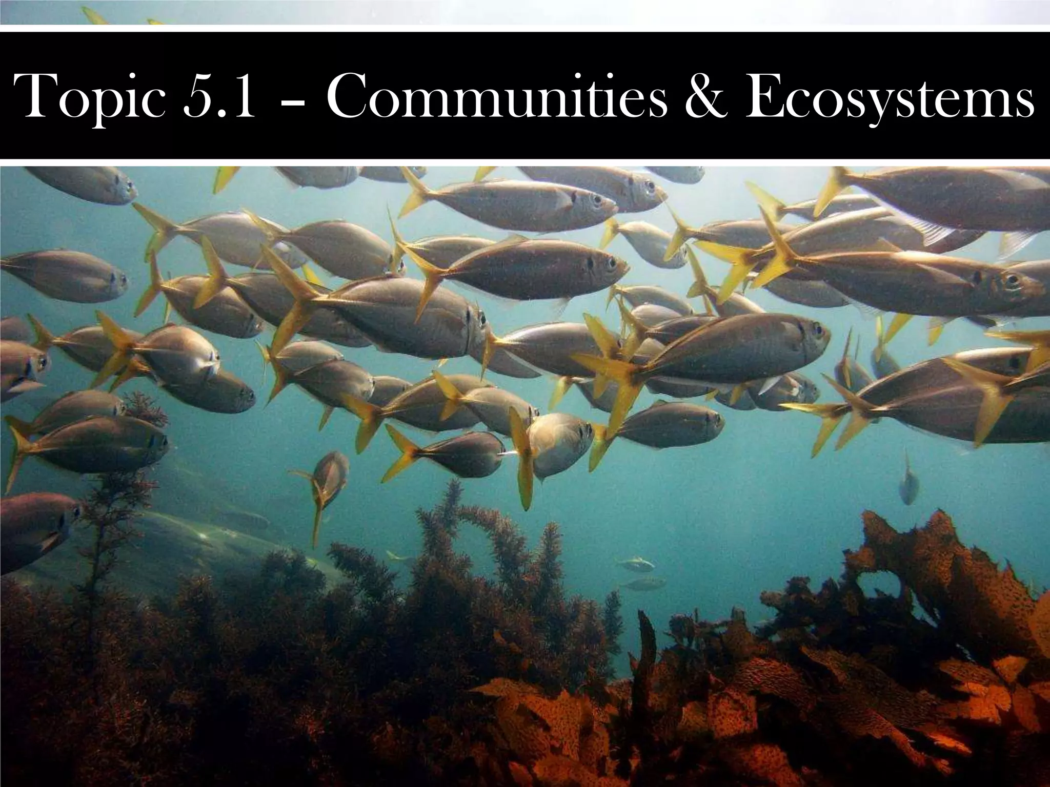 05.1 ecology - communities & ecosystems | PPT