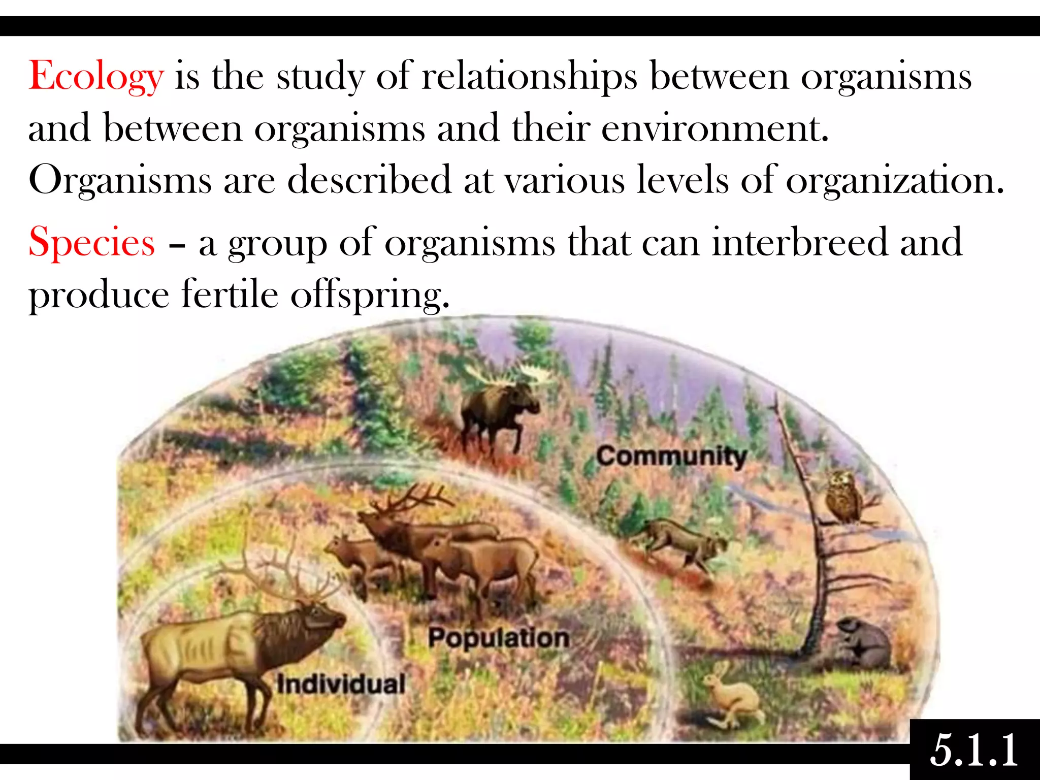 05.1 ecology - communities & ecosystems | PPT